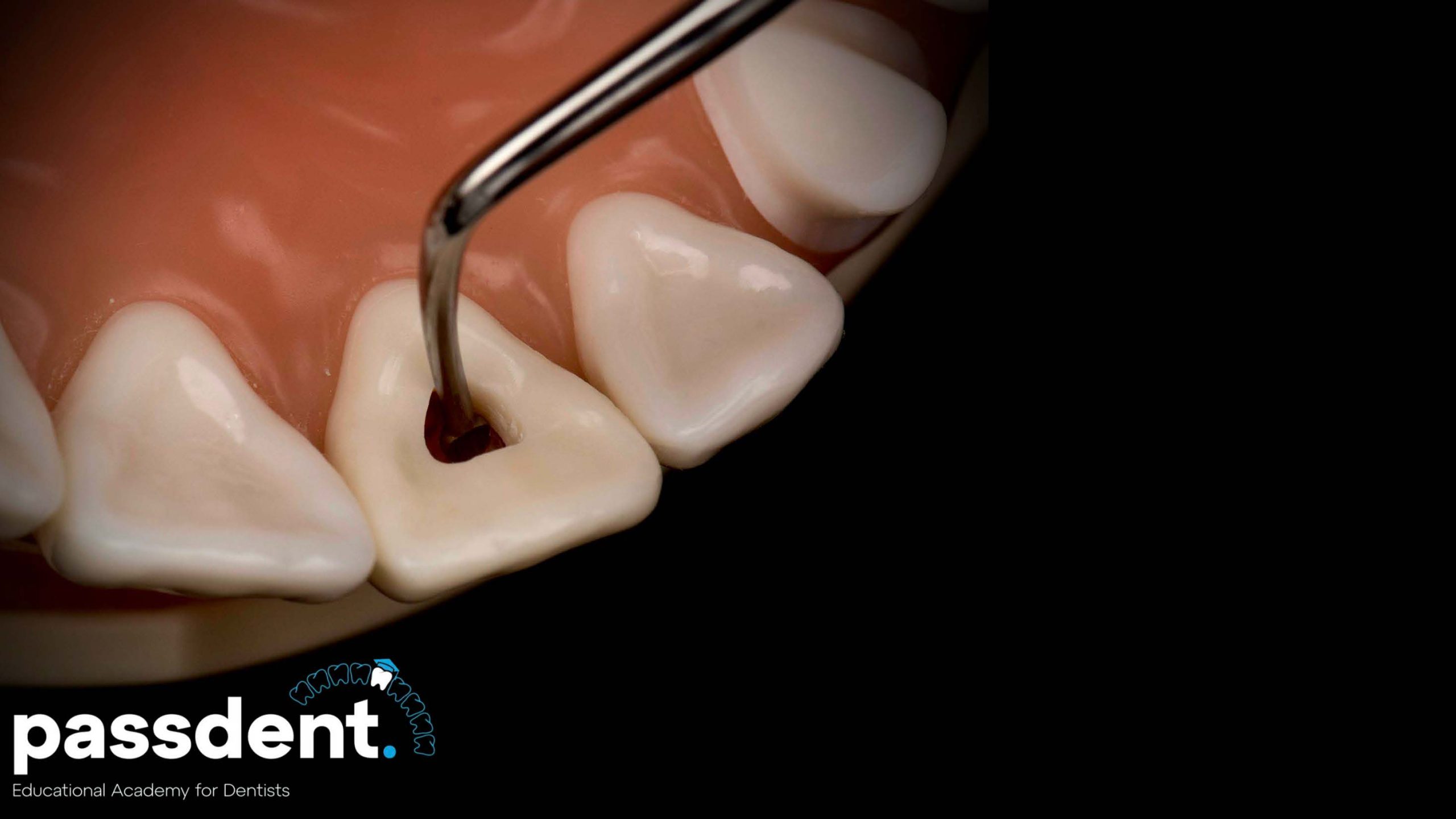 Master the Mechanics: NDECC® Clinical Skills – RxCourse